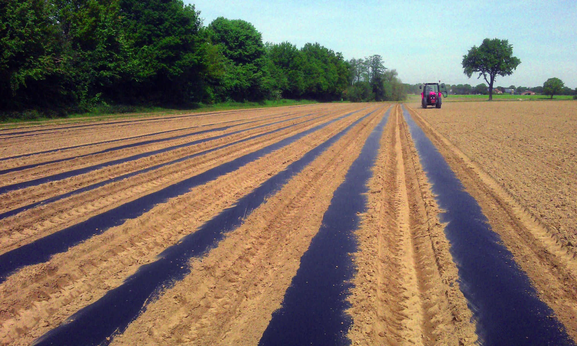 Stora Enso launches mulch paper - Agro & Chemistry