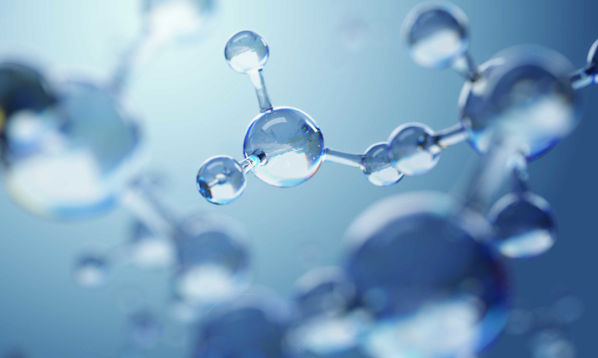 World Biochem 2019 - Agro & Chemistry