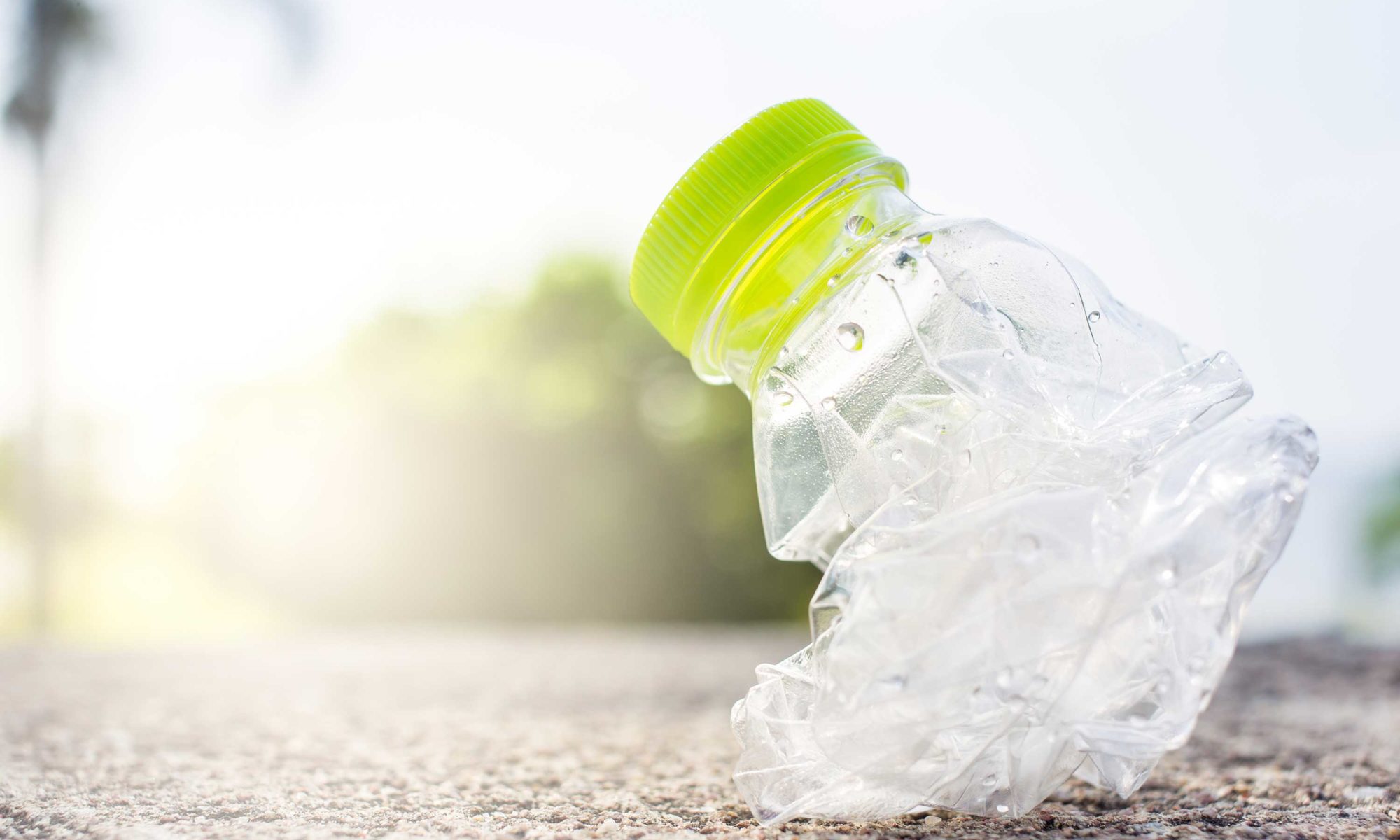 Ioniqa collects € 12 million for PET recycling plant - Agro & Chemistry