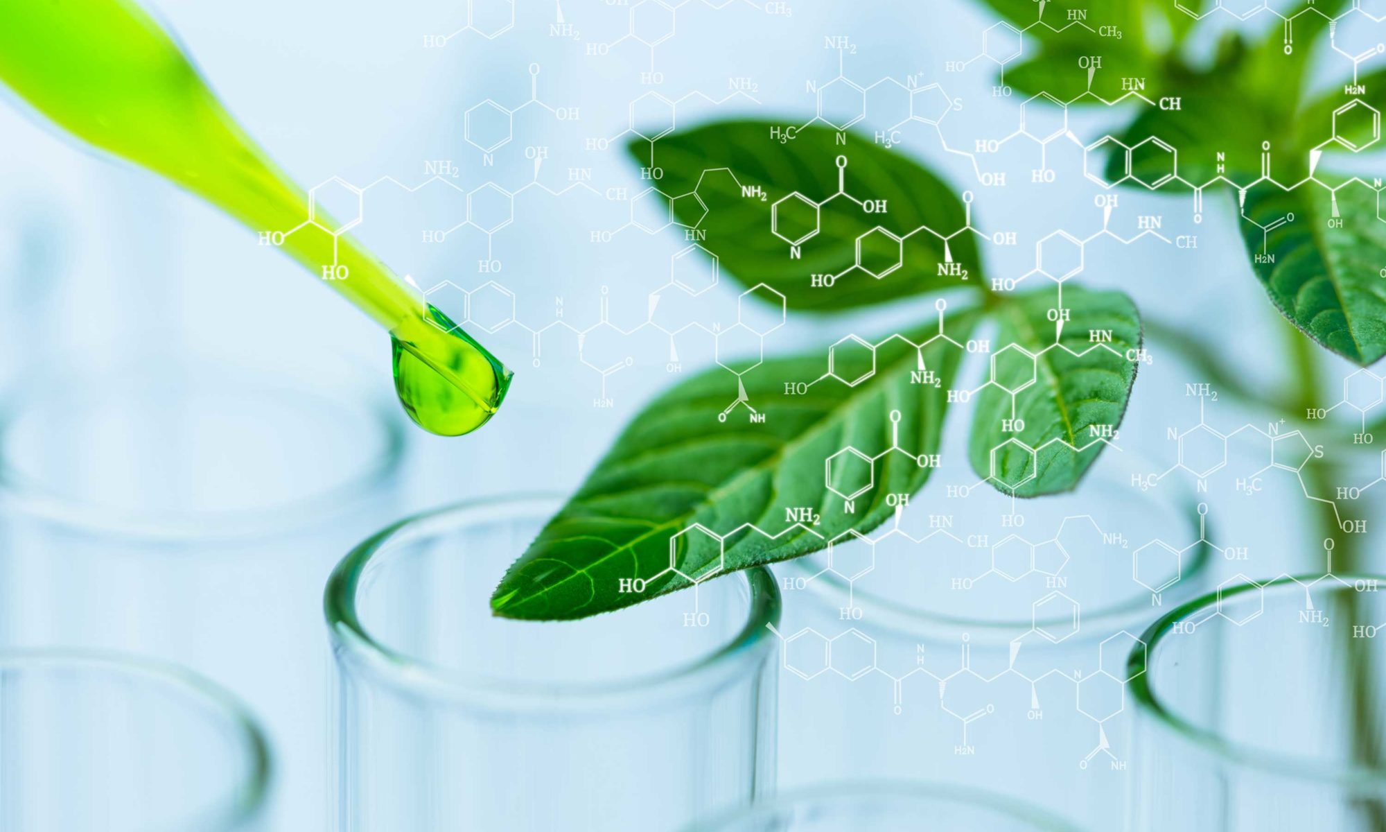 Chemistry Background Green