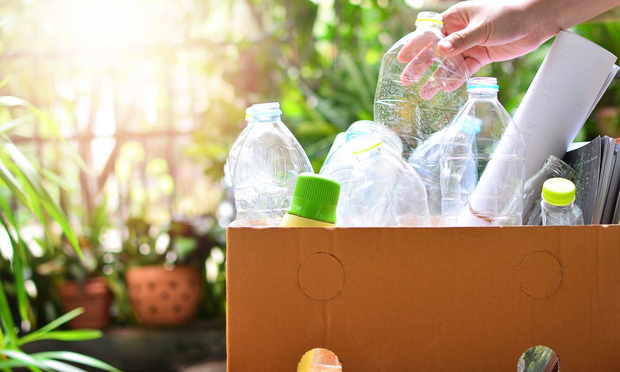 Circular management of biobased packaging can be improved - Agro ...