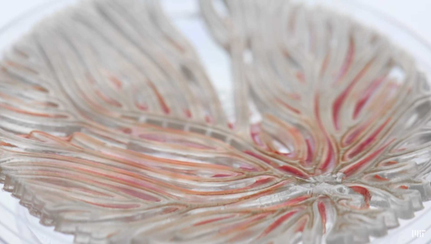 Biomaterials Archives - Agro & Chemistry