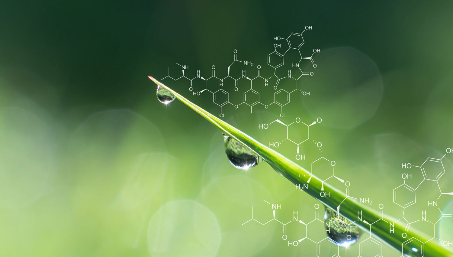 Circular Biobased Europe Archives - Agro & Chemistry