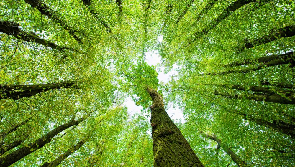 Circular Transition Archives Agro And Chemistry