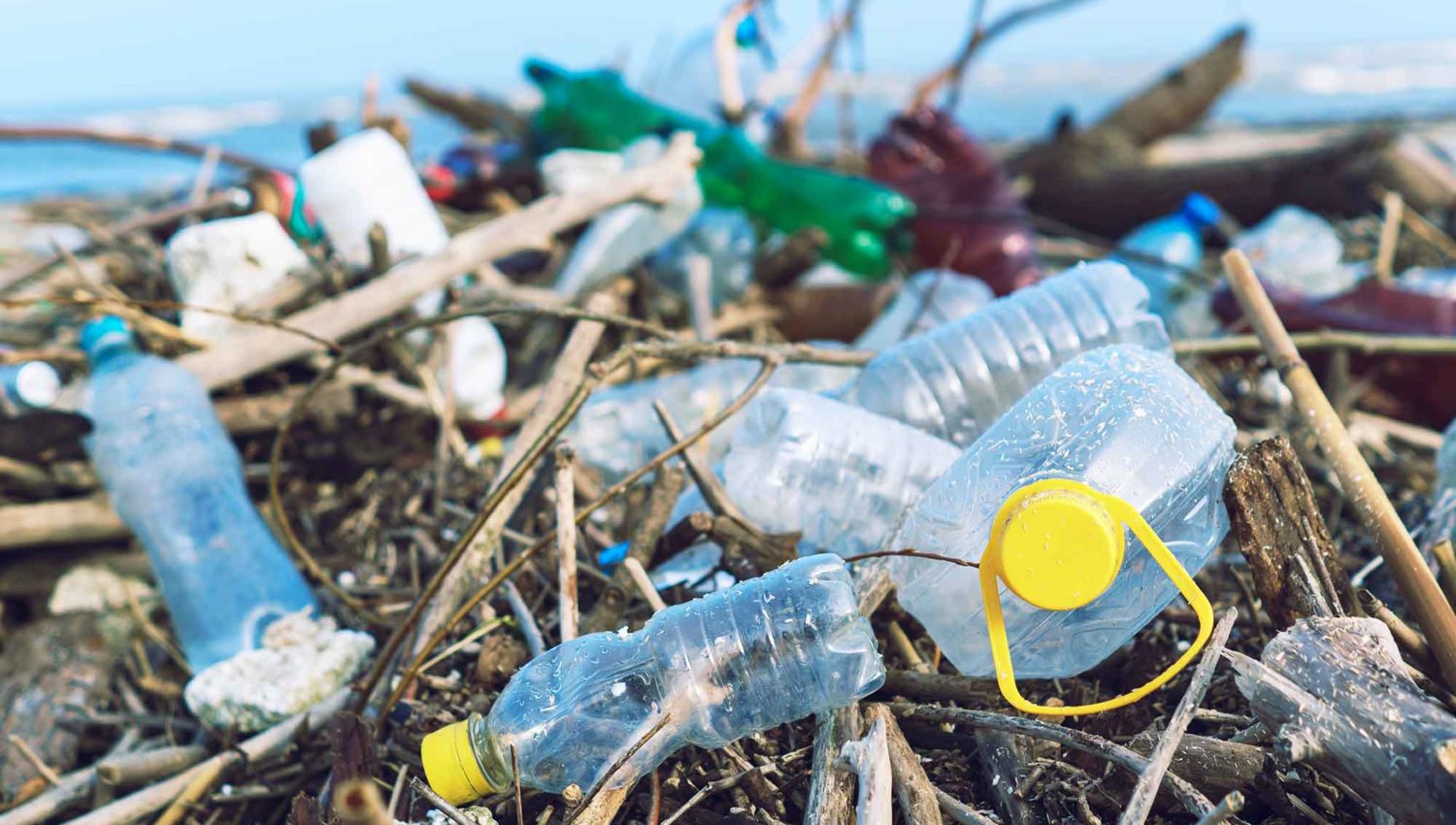 Waste flows Archives - Agro & Chemistry