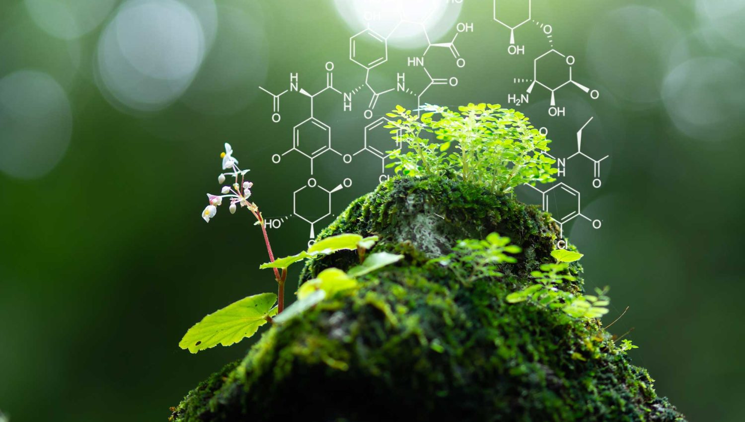 News Archive - Agro & Chemistry