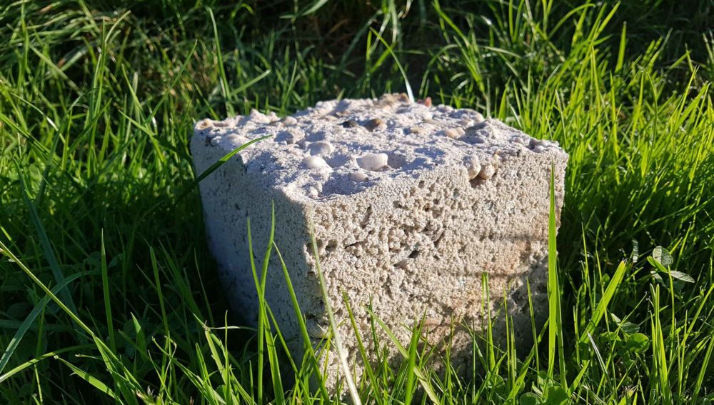 Bio-concrete Archives - Agro & Chemistry