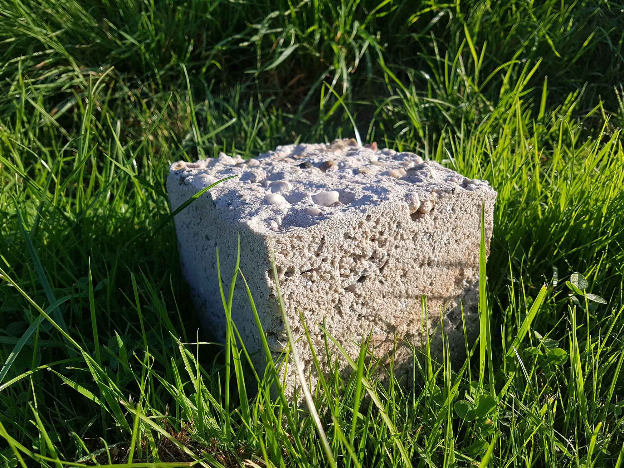 Using bacteria to manufacture bio-concrete - Agro & Chemistry