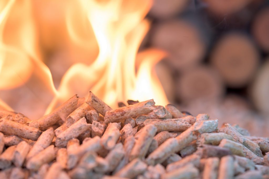 Biomass: permanent part of the Dutch energy mix in 2050? - Agro & Chemistry