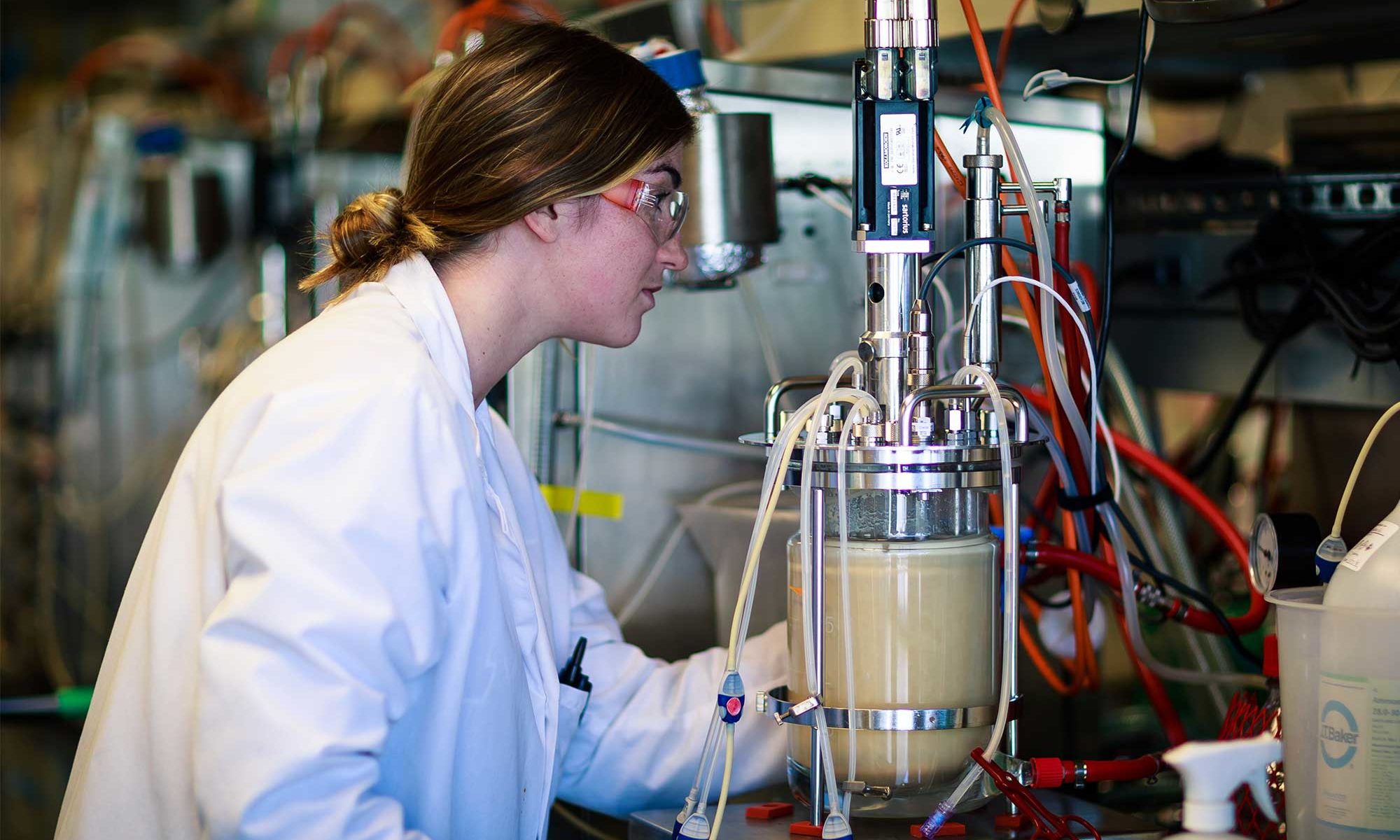 DSM gets exclusive rights to Amyris F&F ingredients - Agro & Chemistry
