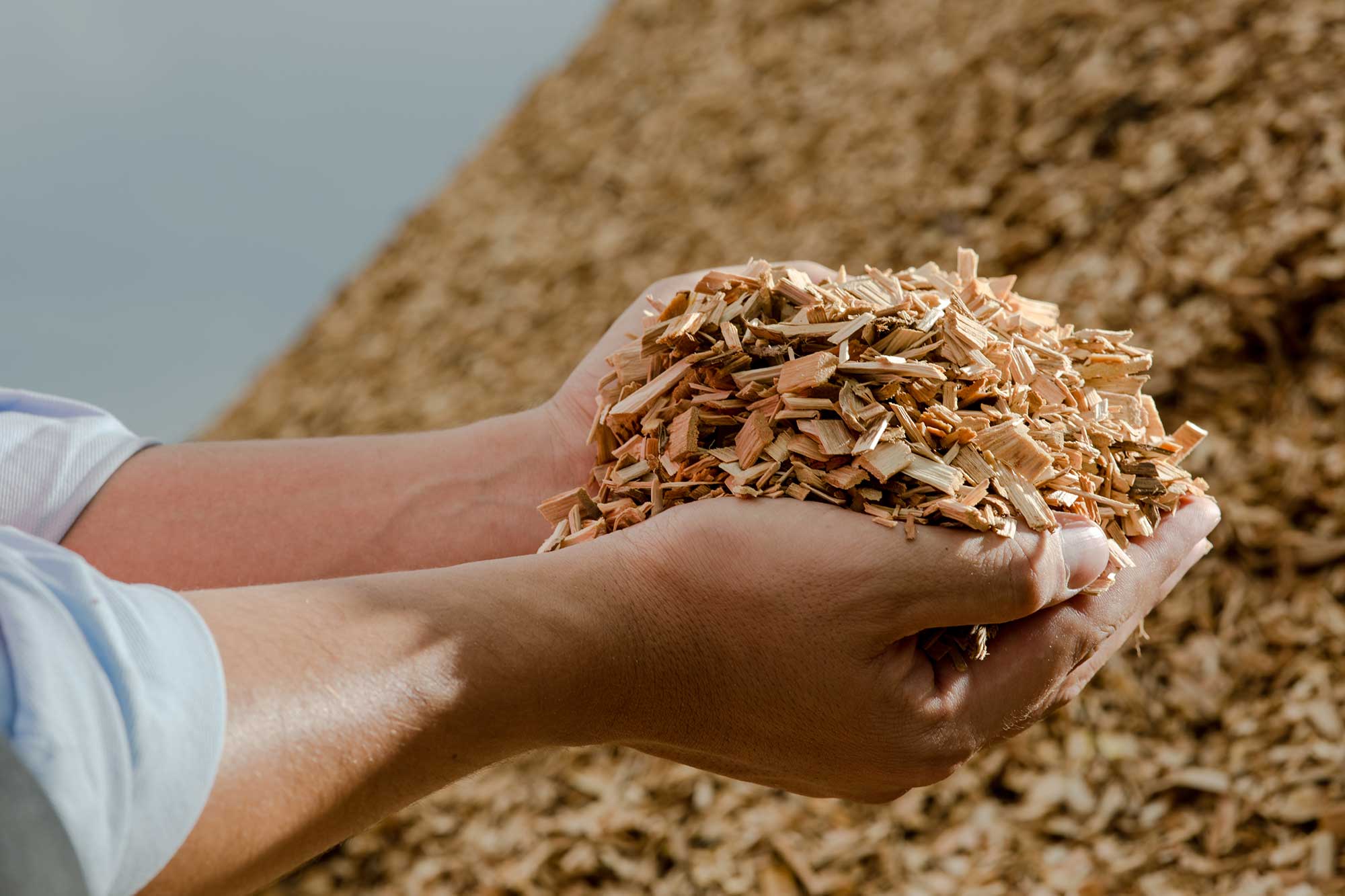 Biomass and the challenge of energy security - Agro & Chemistry