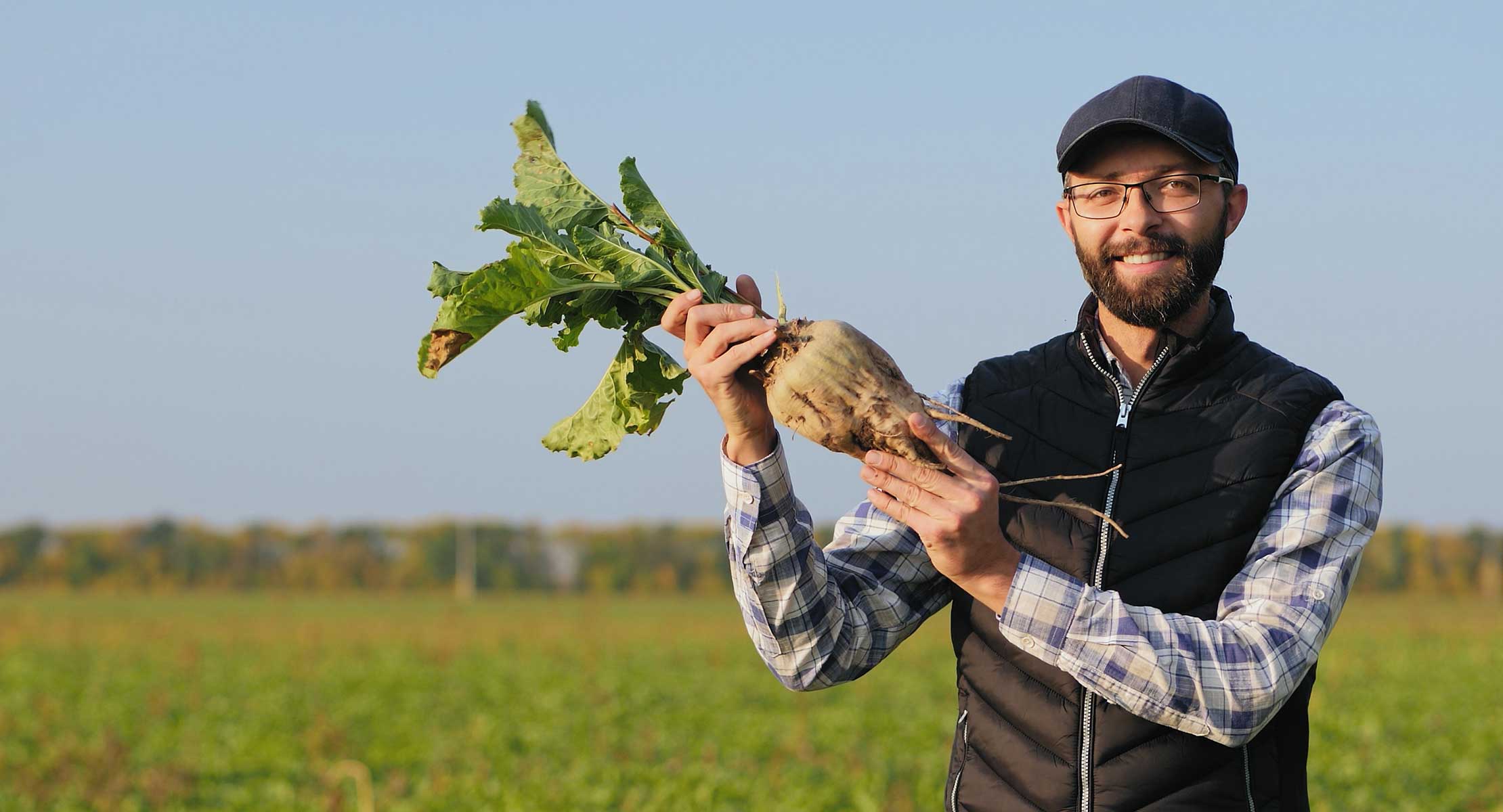 Sugar as the ideal bio-feedstock for the chemical industry - Agro ...