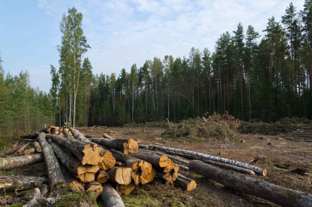 Omgehakte-bomen - Agro & Chemistry