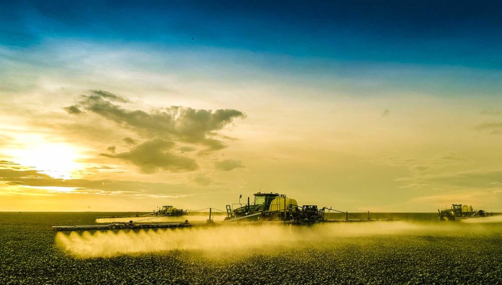 Precision breeding Archives - Agro & Chemistry