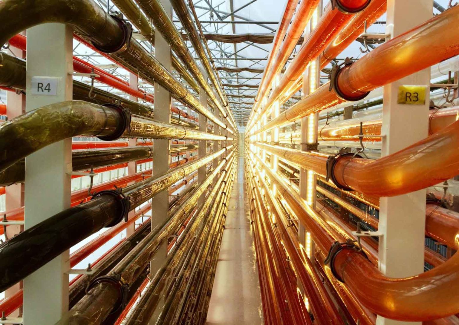 Microphyt-biorefinery - Agro & Chemistry