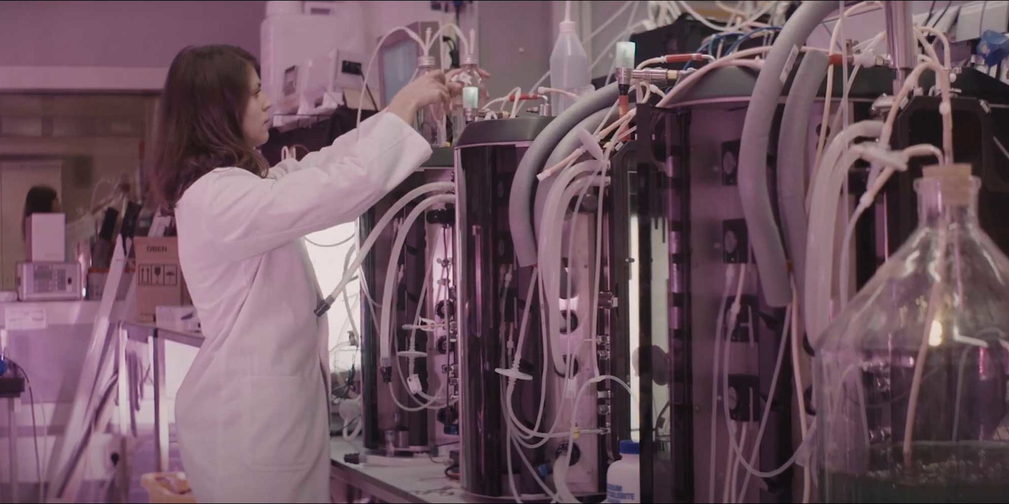 Photanol demo plant has started production in Delfzijl - Agro & Chemistry