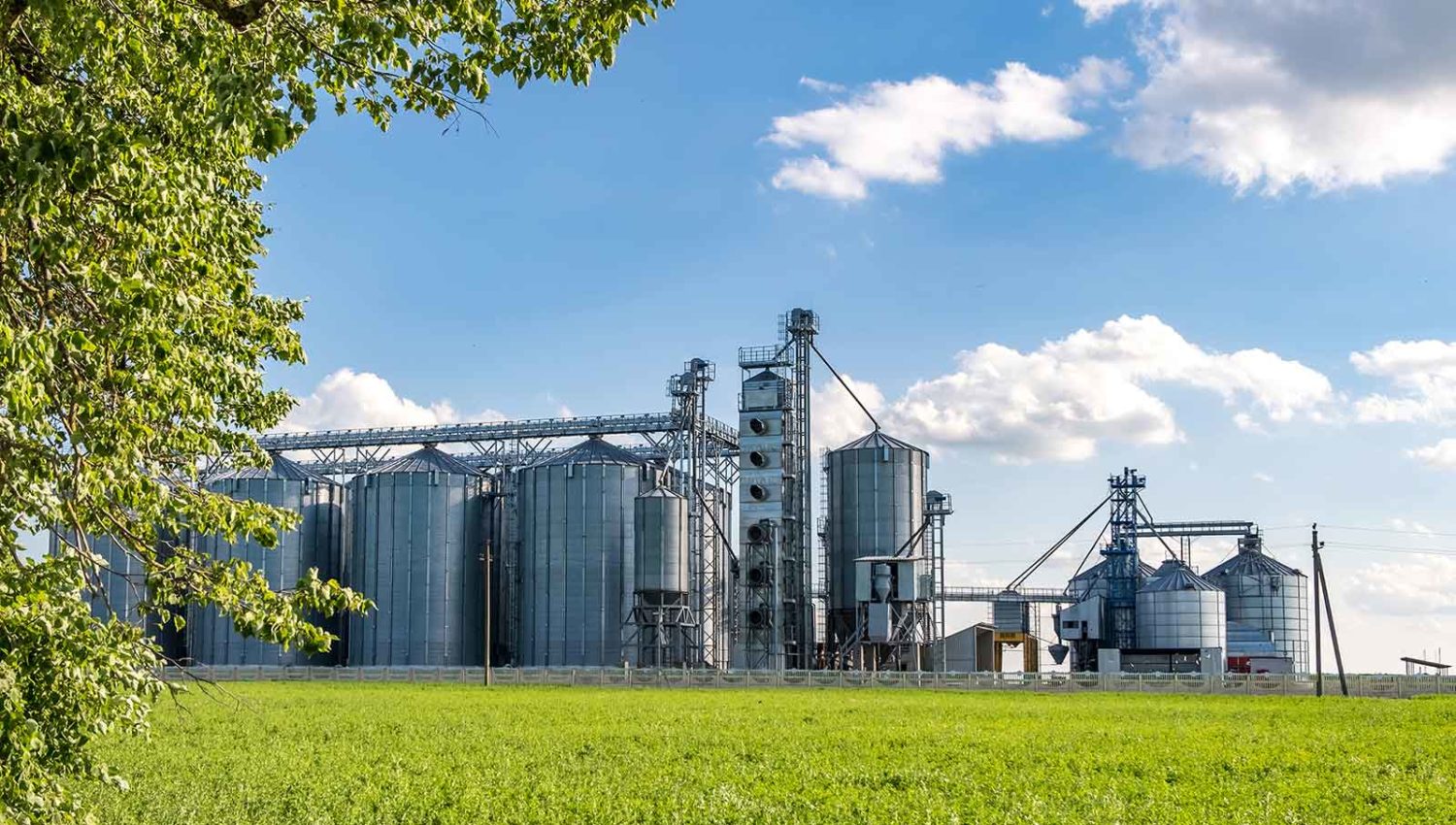 Bio-based Industries Consortium Archives - Agro & Chemistry