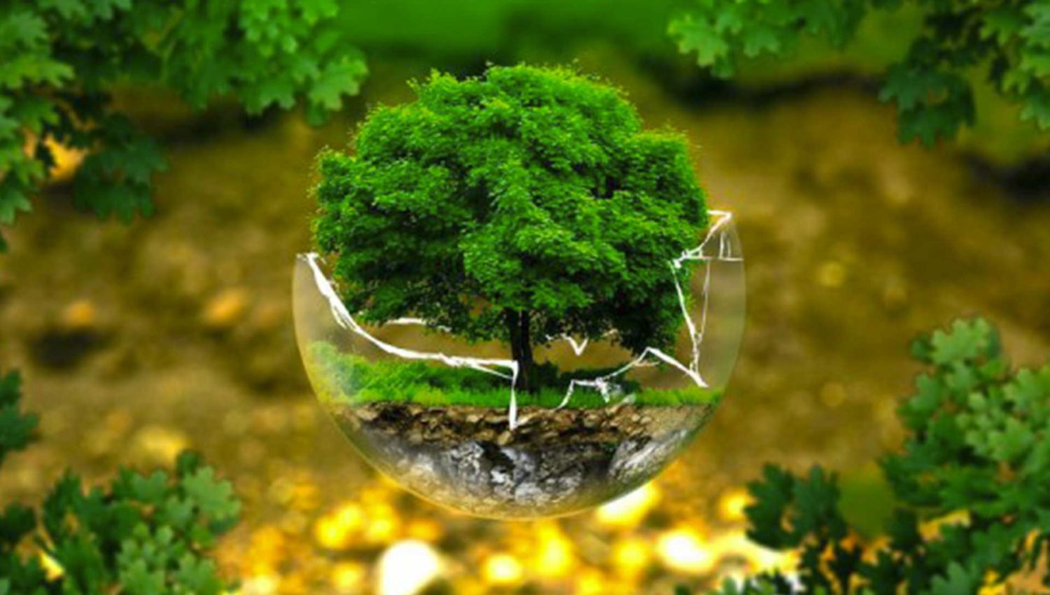 Biorecycling Archives - Agro & Chemistry