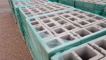 Bio-receptive concrete makes facades greener - Agro & Chemistry