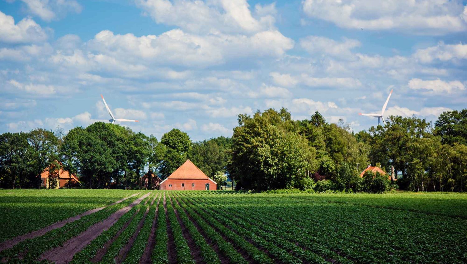 Biobased feedstock Archives - Agro & Chemistry