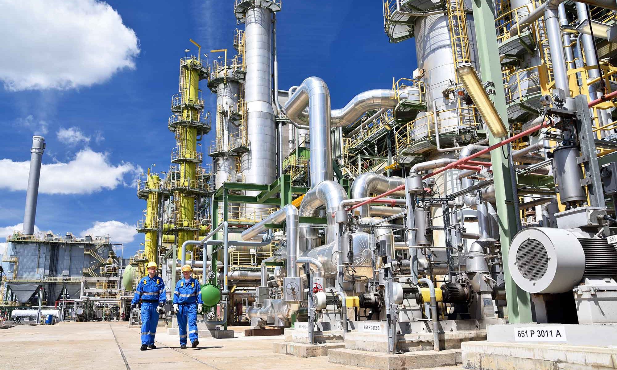 Growing interest of chemical industry in bio-based feedstocks - Agro ...