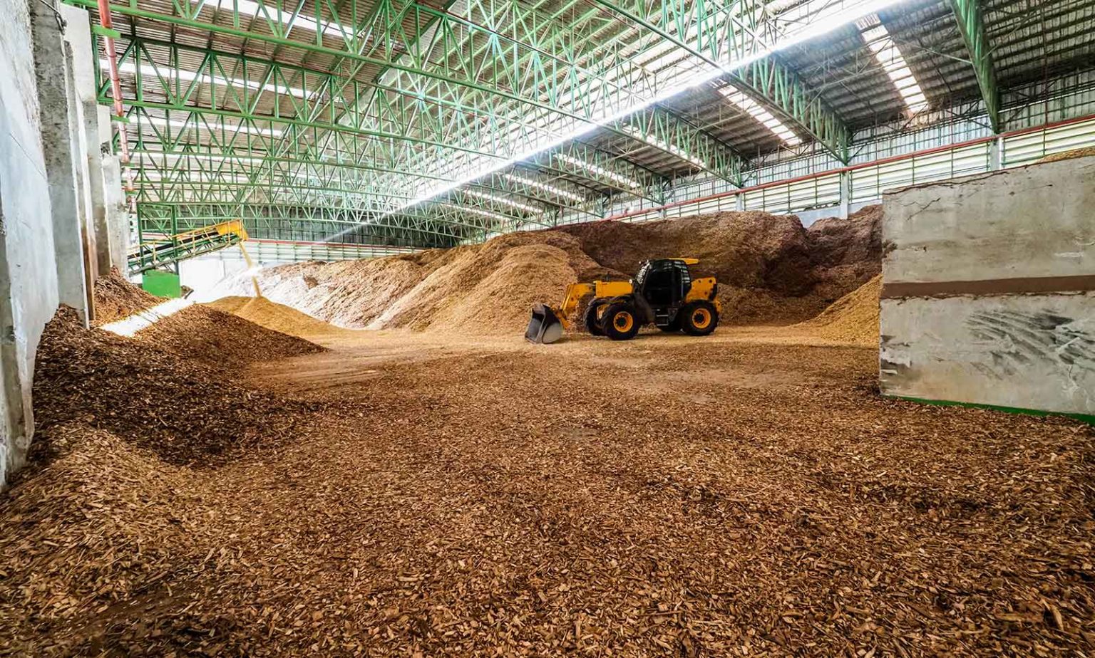 Wood-chips-biomass - Agro & Chemistry