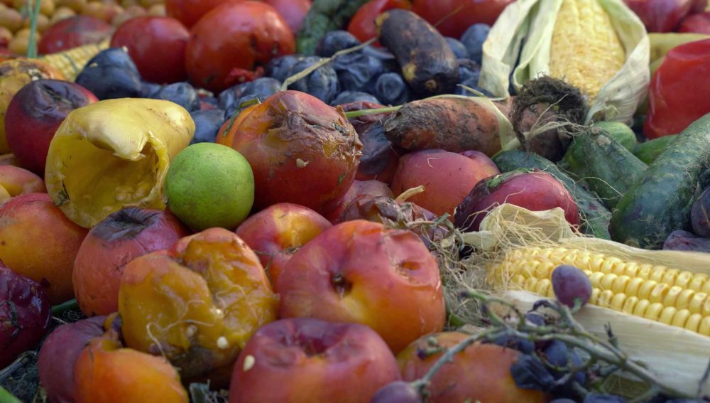 Biowaste Archives - Agro & Chemistry