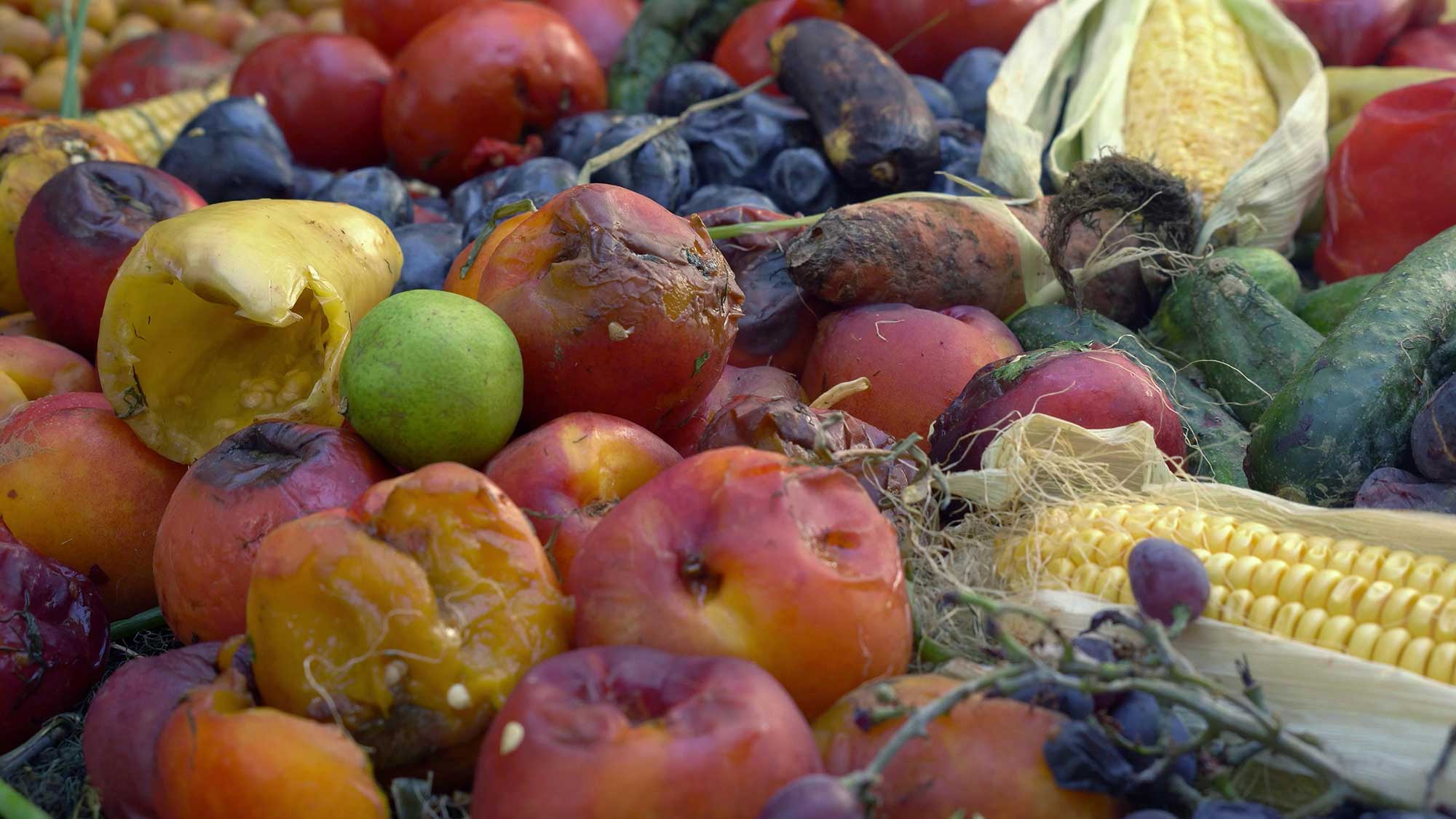 Presentation and showcase Tech4Biowaste - Agro & Chemistry