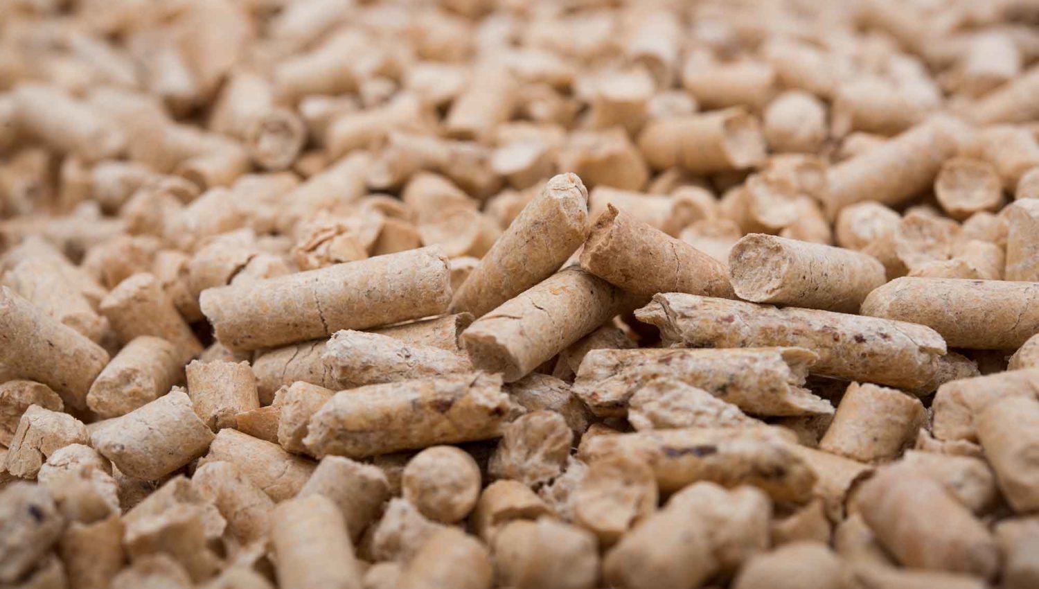 Bio-based materials Archives - Agro & Chemistry