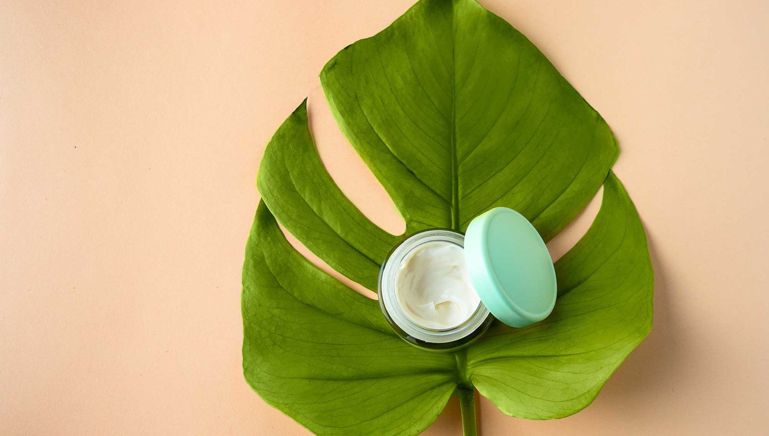 Biobased products Archives - Agro & Chemistry