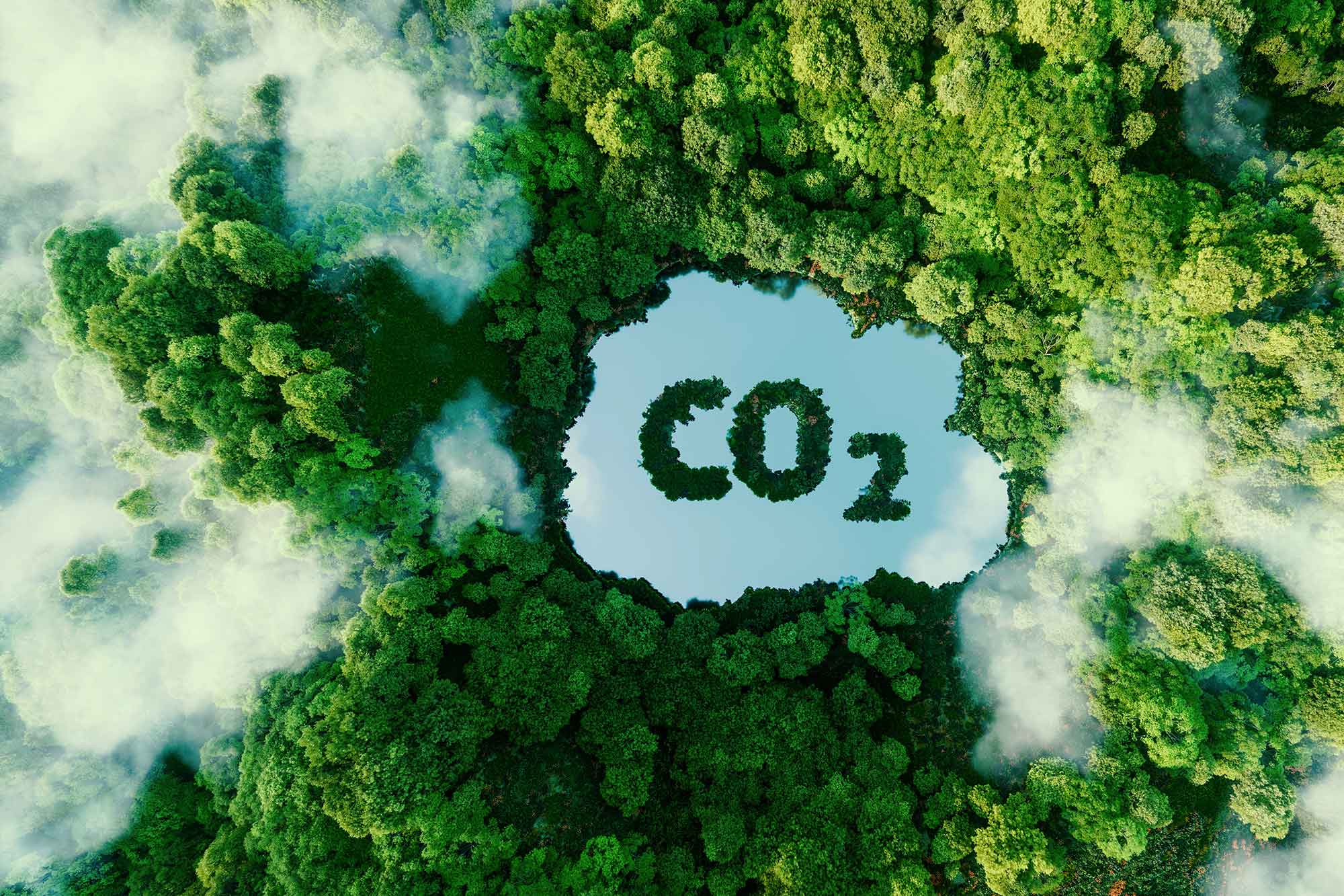 Avantium to convert CO2 into consumer products via electrochemistry ...