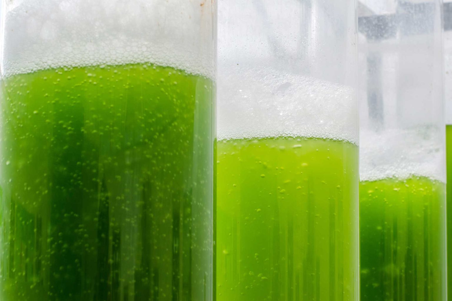 Algae-photobioreactor - Agro & Chemistry