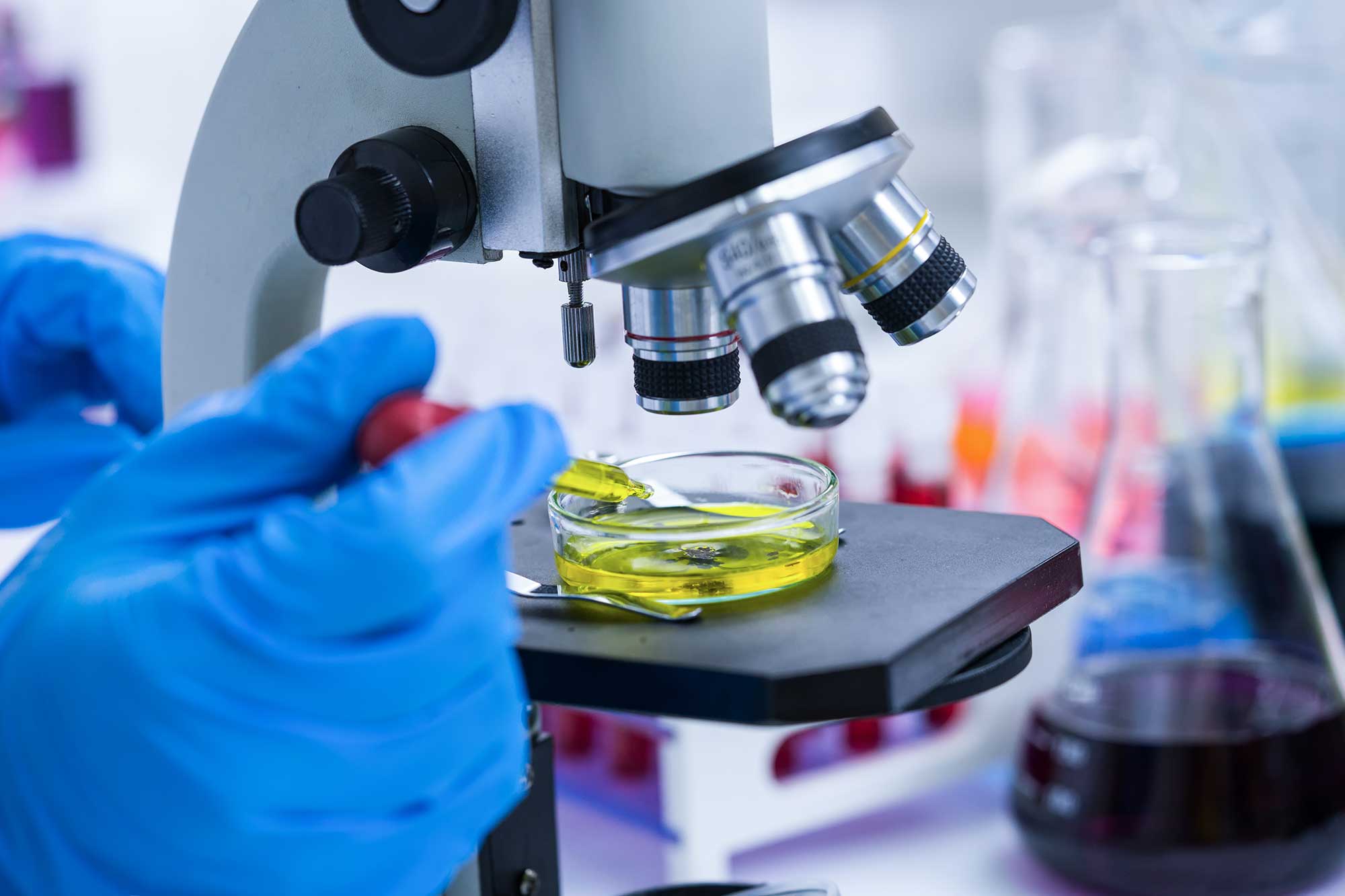 Stabican to expand on Green Chemistry Campus - Agro & Chemistry