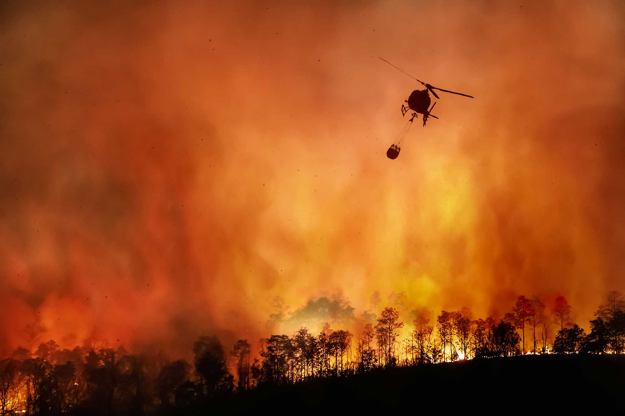 Future climate catastrophe almost unavoidable - Agro & Chemistry