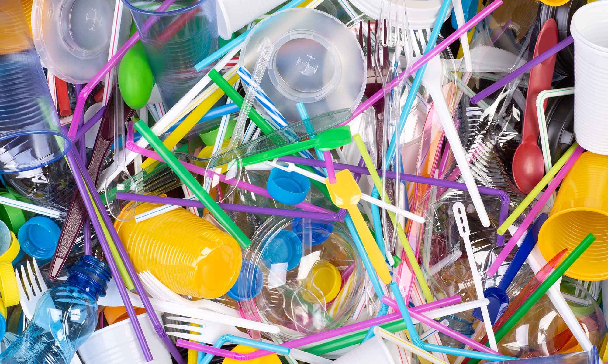 'Don't exclude biodegradable plastic from SUP ban' - Agro & Chemistry