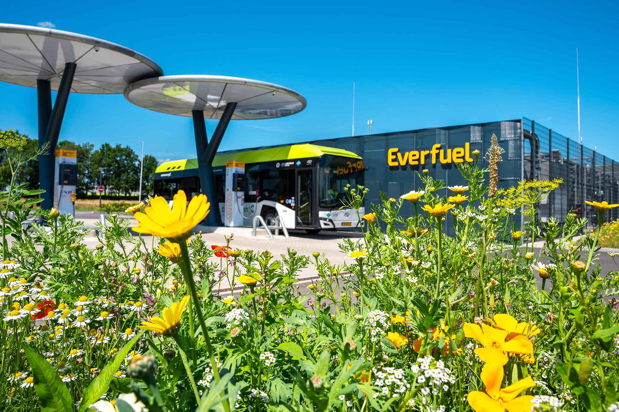 Everfuel and Hy24 accelerate development of electrolyser capacity ...