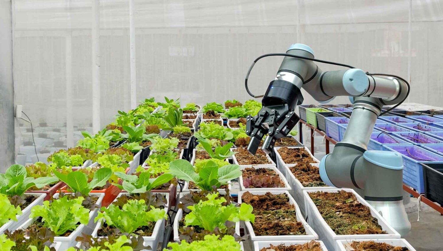 Digitization Archives - Agro & Chemistry