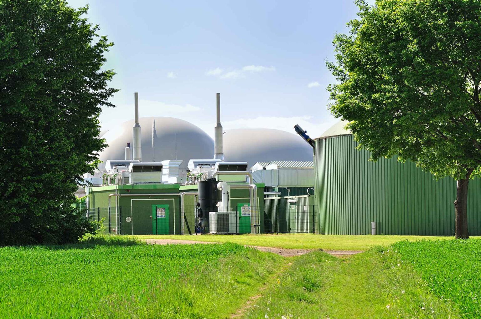 Biofuel-plant - Agro & Chemistry