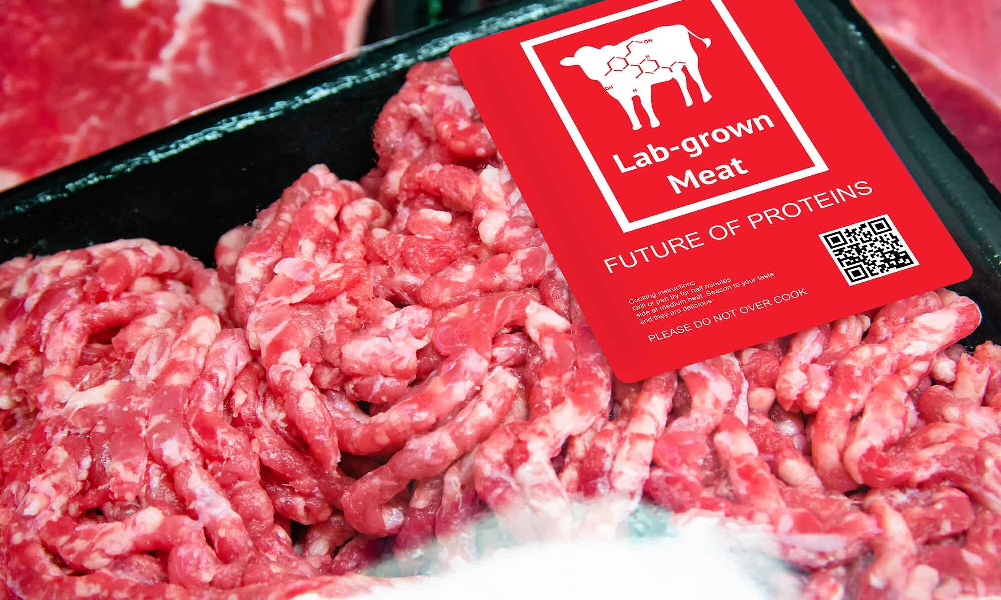 'Cultured meat up to 25 times less sustainable than traditional beef ...