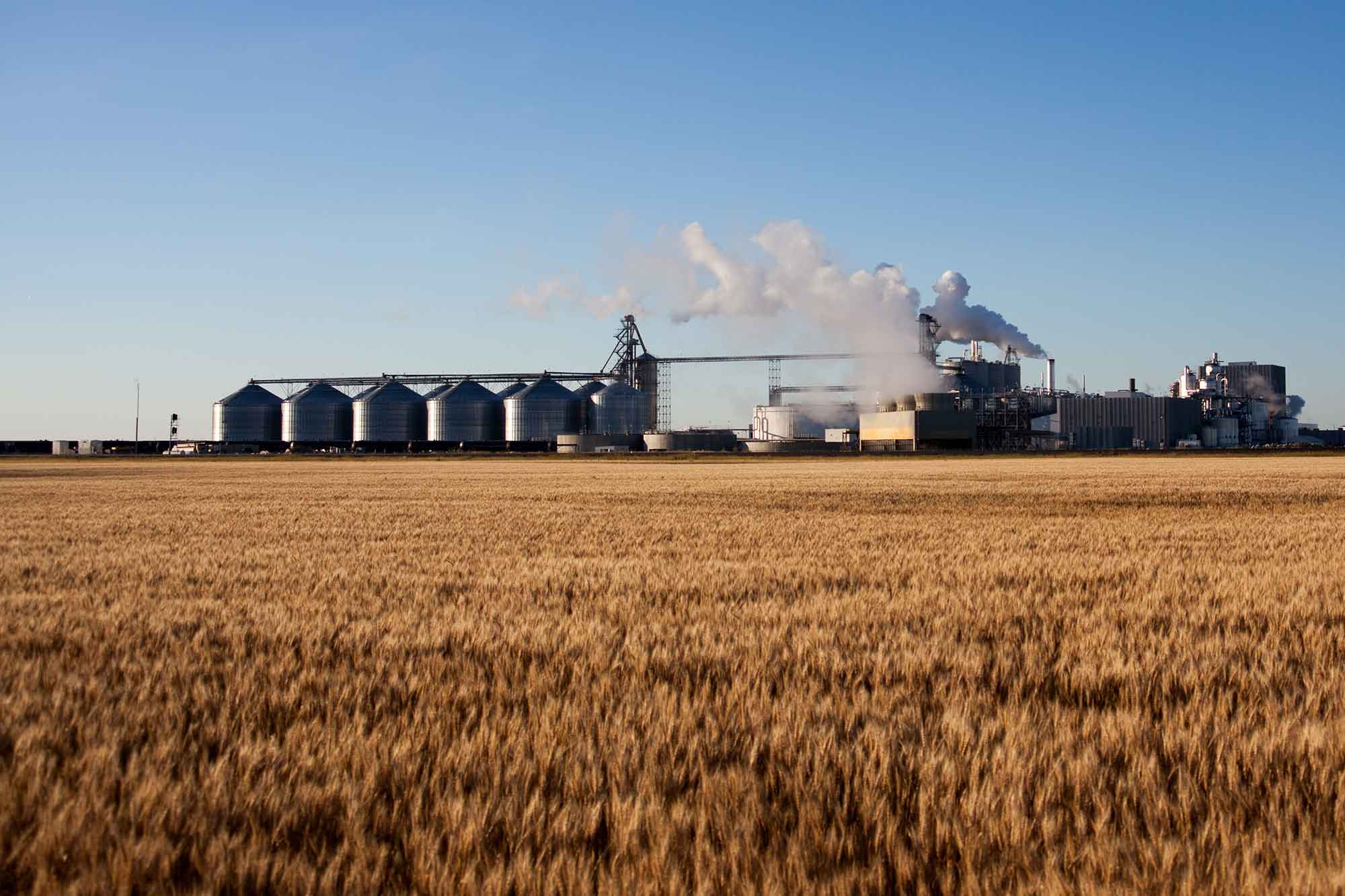 US to invest $500 million in biofuel infrastructure - Agro & Chemistry