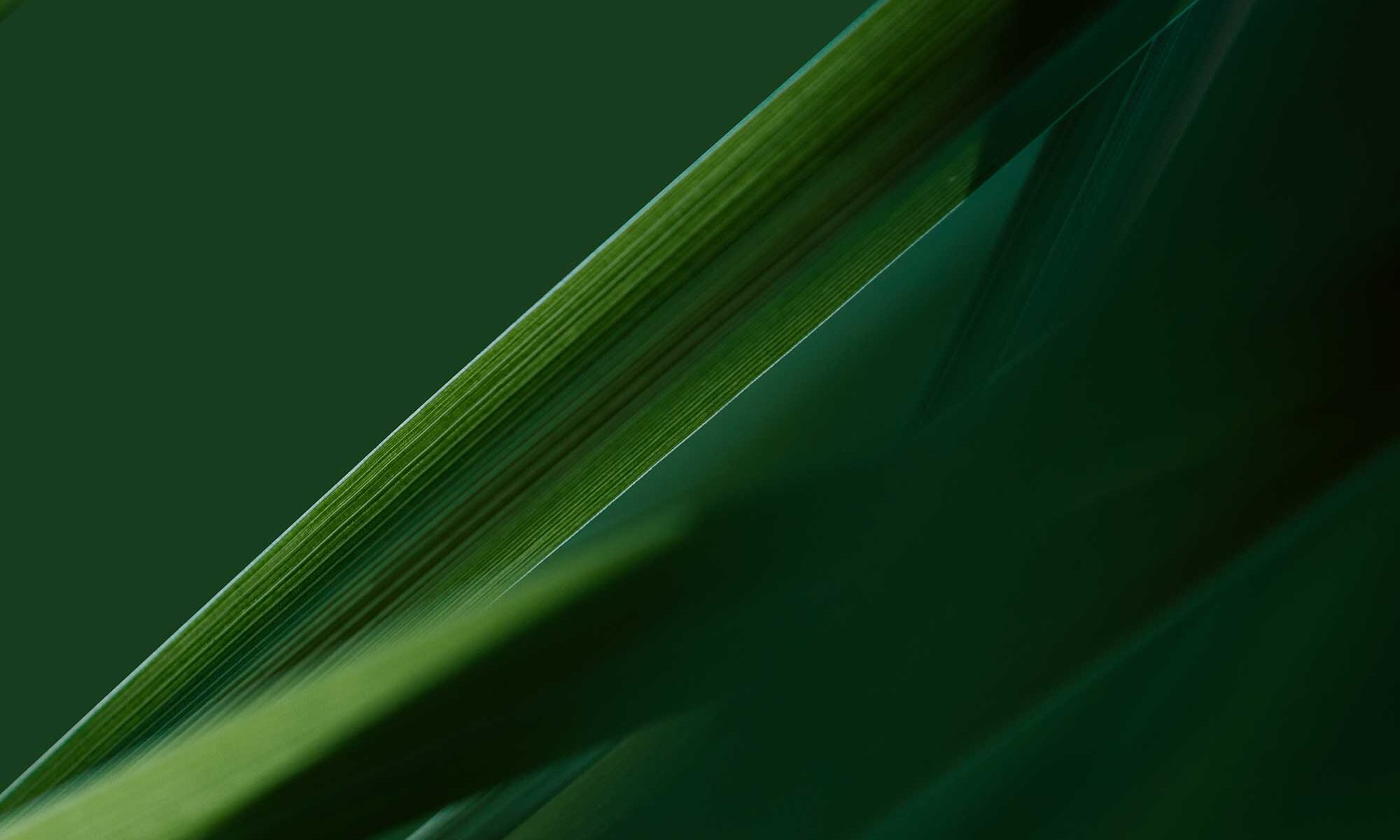 Tech Tour Launches Circular 2024 Programme - Agro & Chemistry