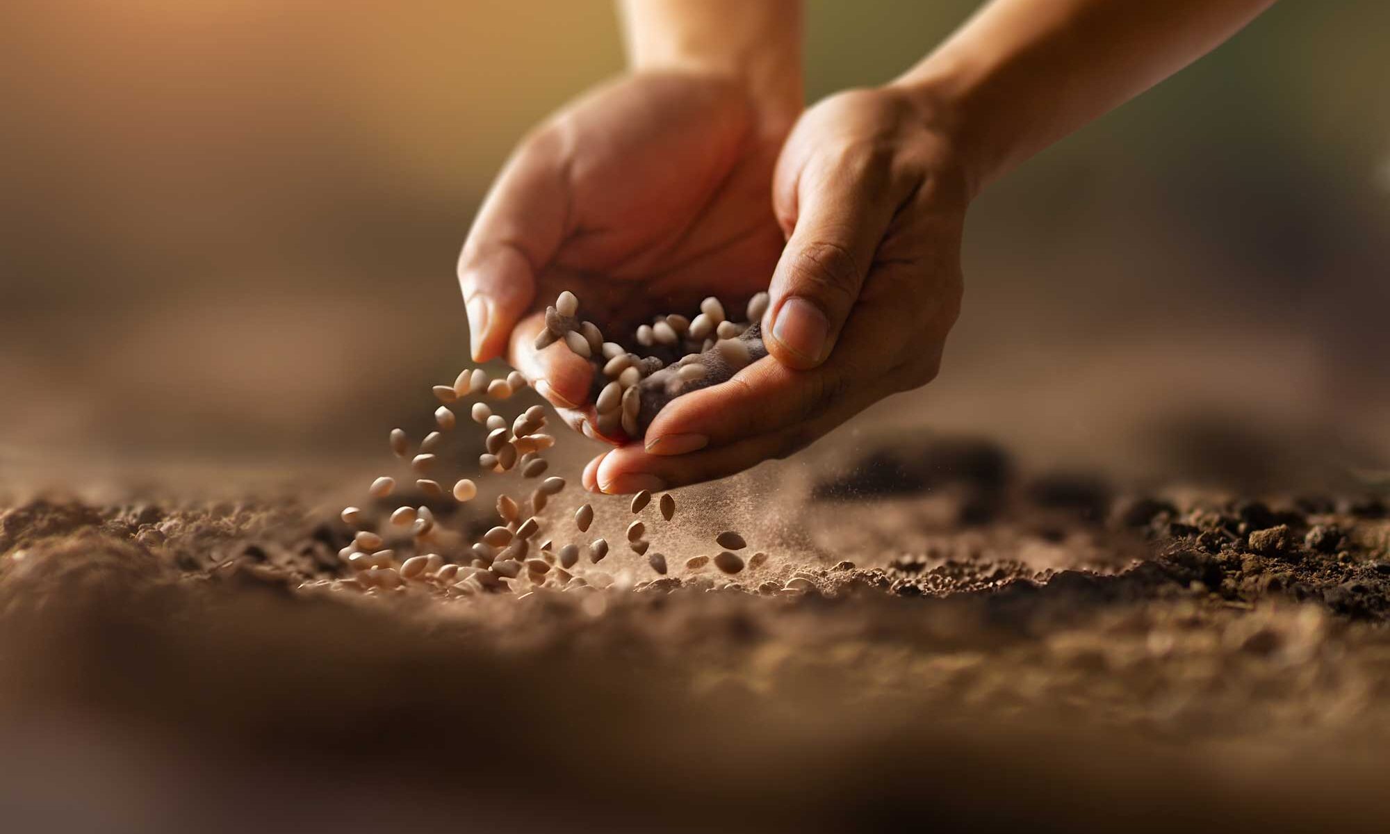 More sustainable agriculture with biobased and biodegradable seed and ...