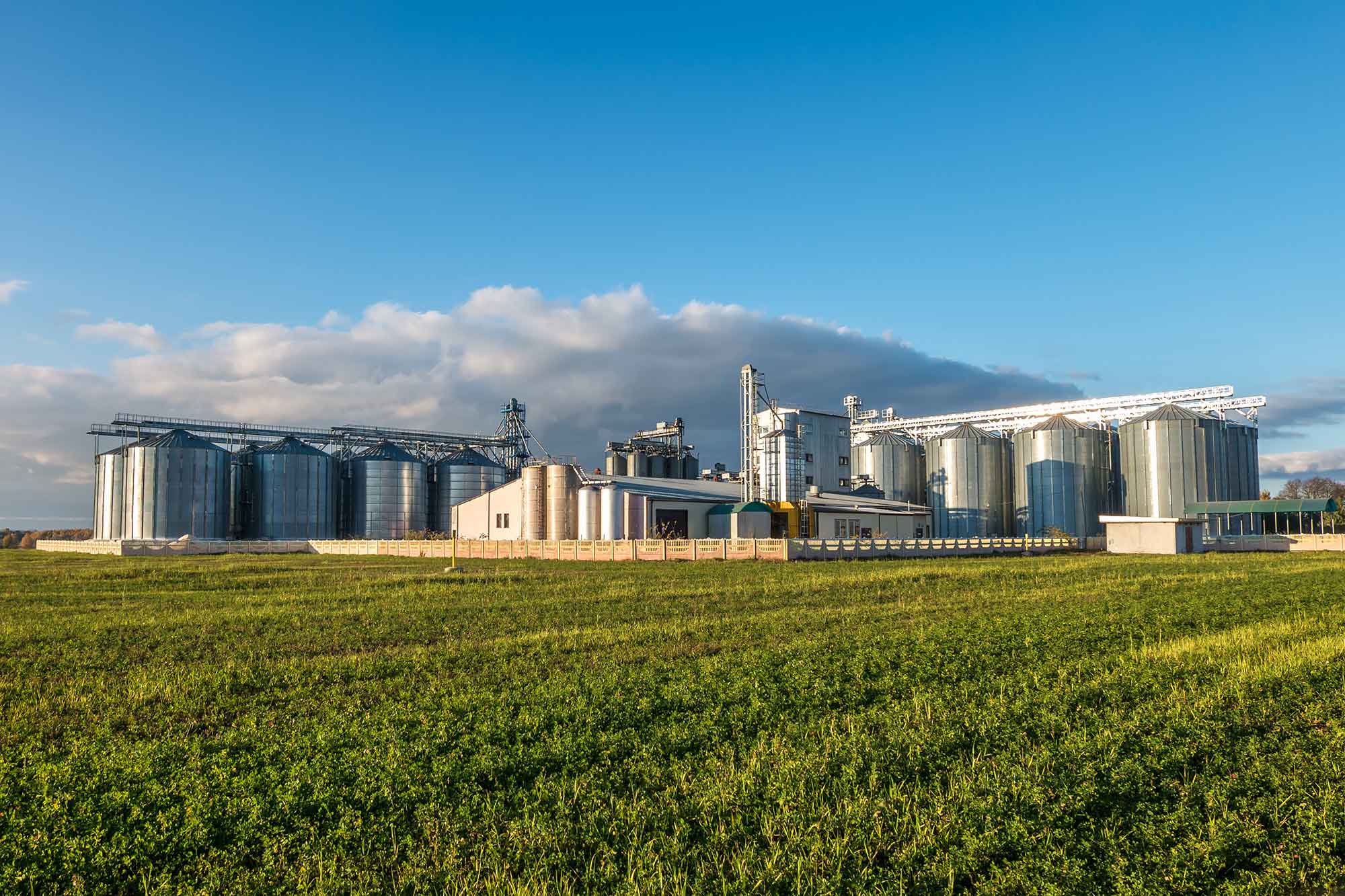 “Use first-generation biomass for chemical and climate targets” - Agro ...
