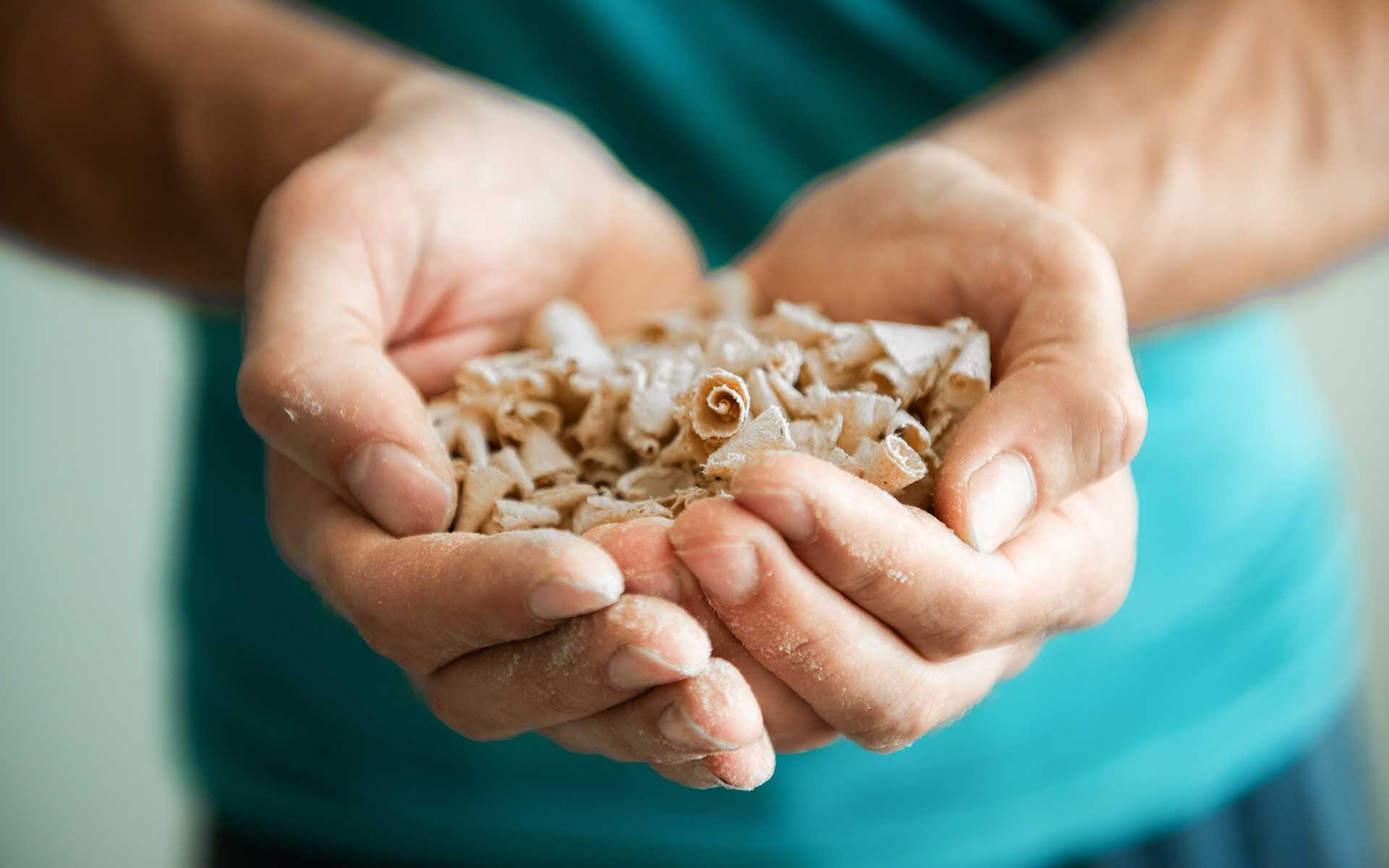 Turning biomass into materials that clean and transform - Agro & Chemistry